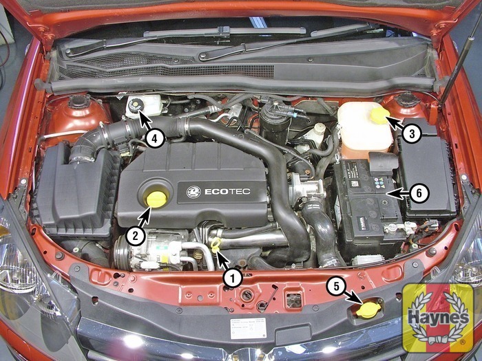 Opel Astra (2004 - 2008) 1.7 CDTi - Fluid level checks - Haynes Publishing