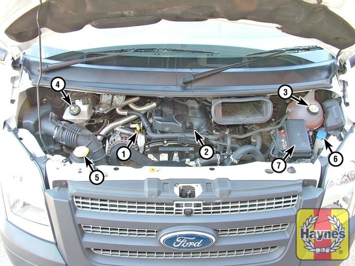 Ford Transit (2006 - 2013) 2.4 - Fluid level checks - Haynes Publishing